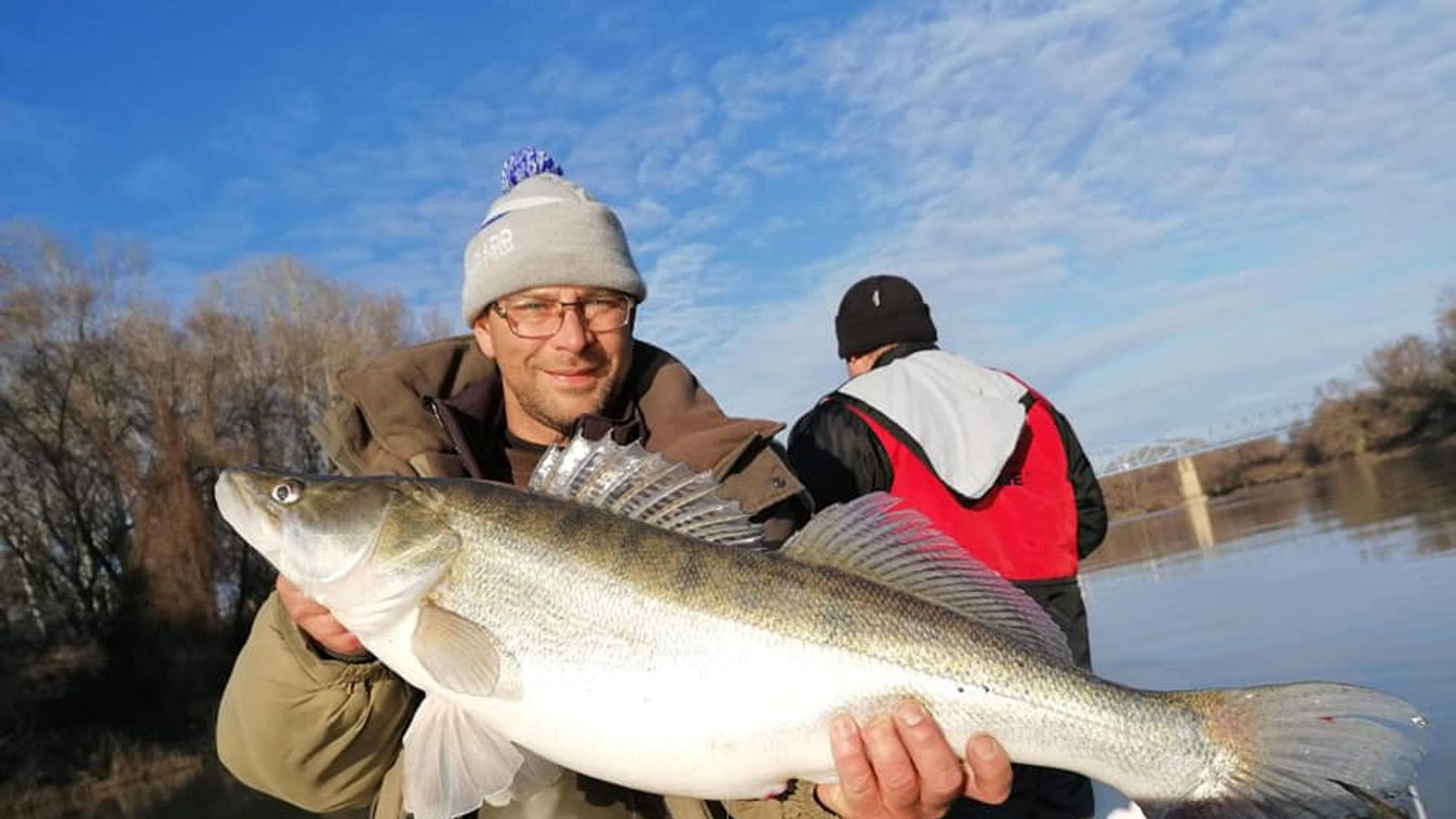 Népszerű horgászhal a süllő, sokat telepítettek vizeinkbe