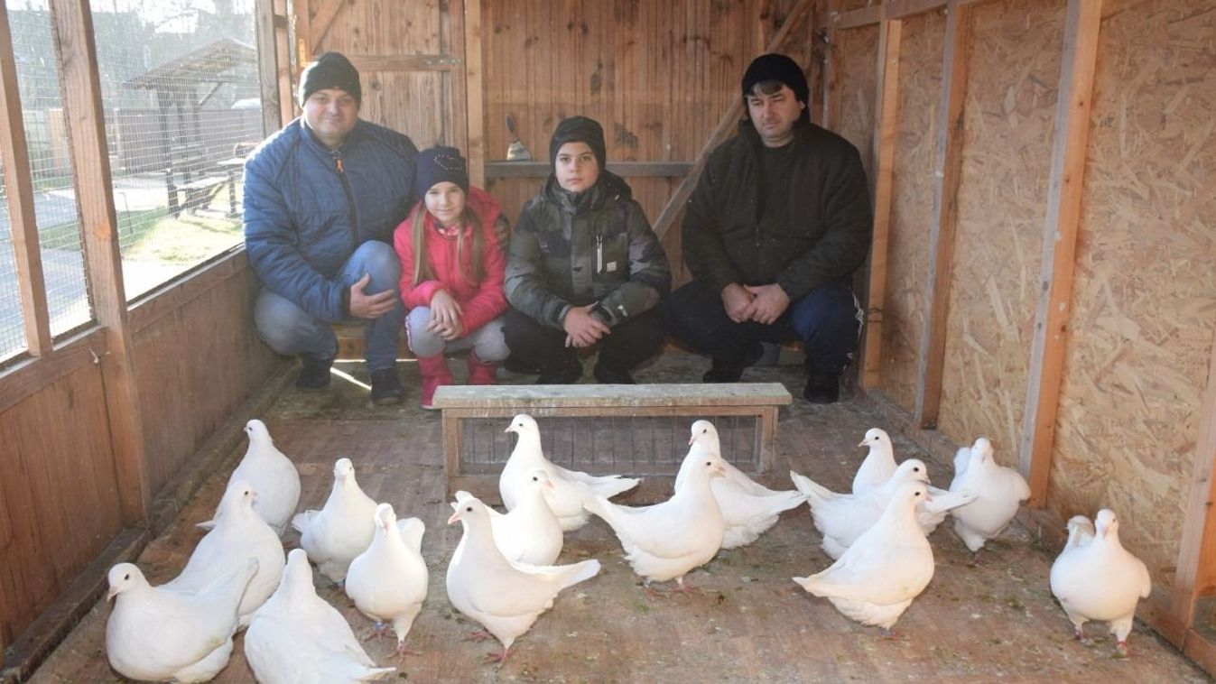 Iskolásoknak, óvodásoknak szerveznének látogatást gazdaságaikba a ...