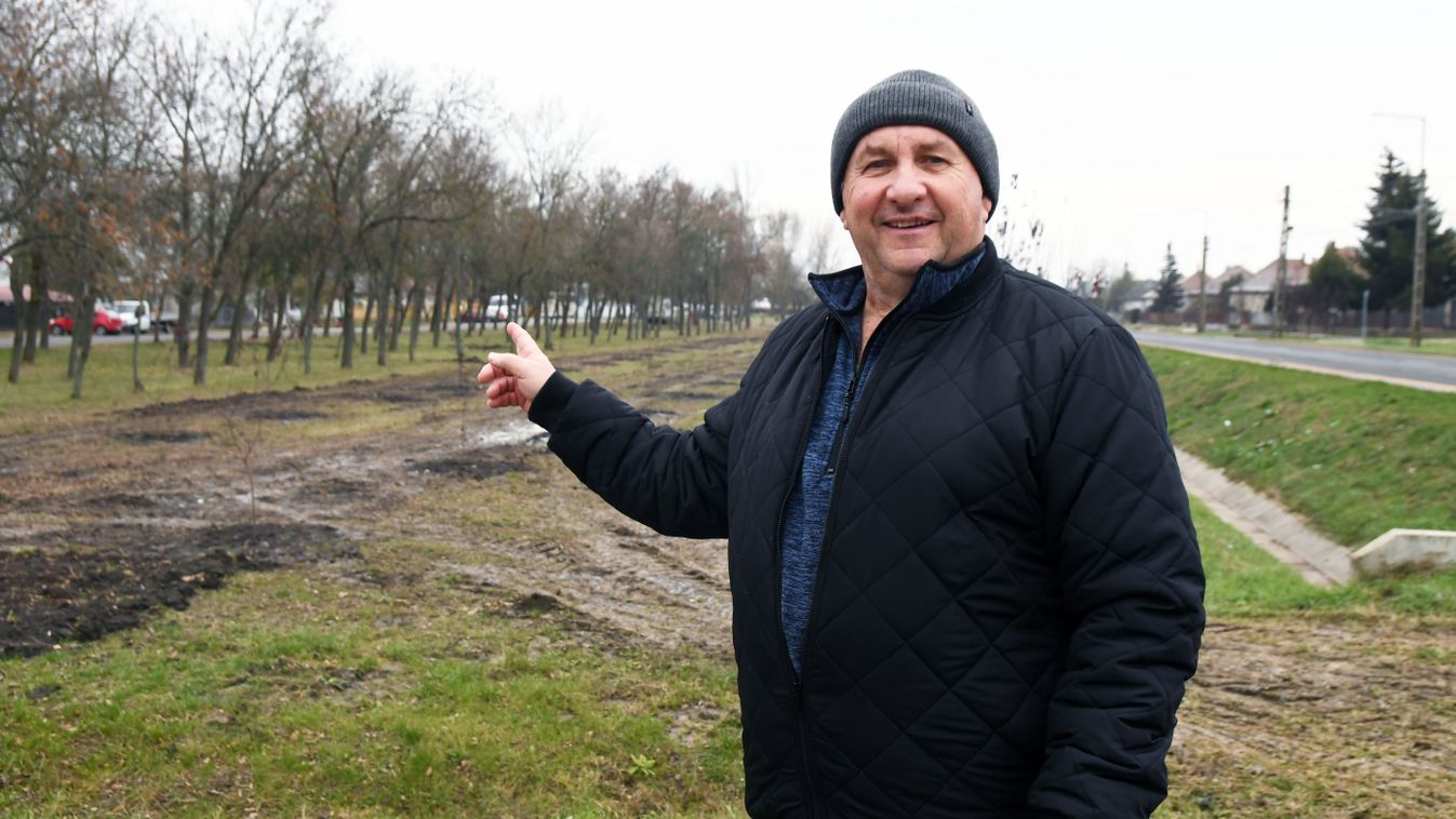 Vérszilvafákat ültettek Fegyverneken