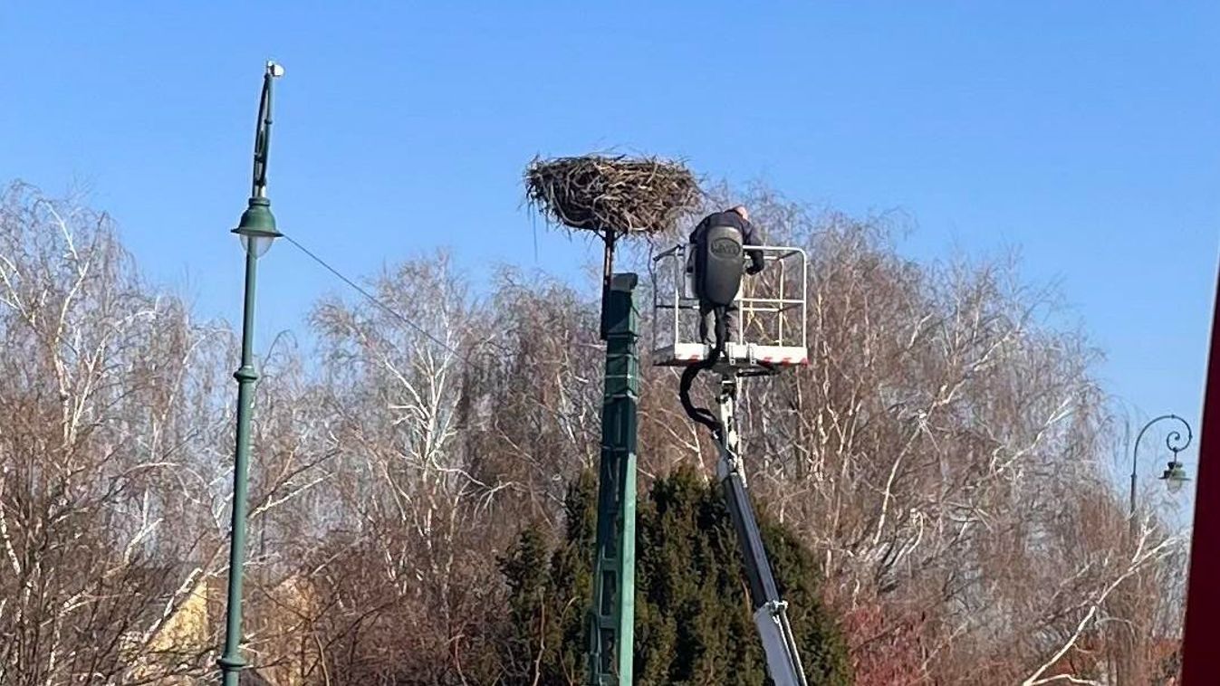 Hulladékoktól szabadult meg a jászfényszarui gólyafészek