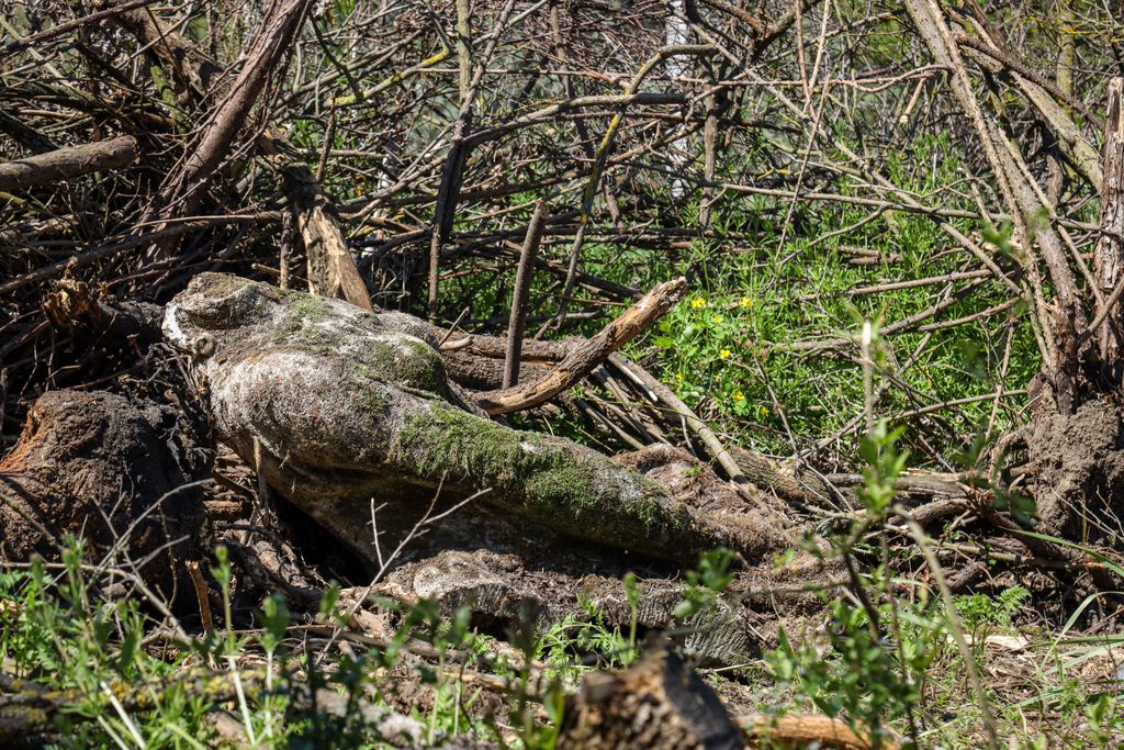 Női szobor torzó Szolnokon: a bozótosból került elő a rejtélyes lelet