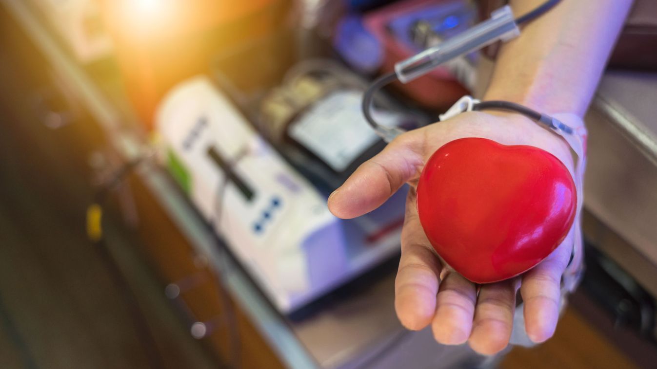 Véradások a Jászkunságban június 16 és június 20. között