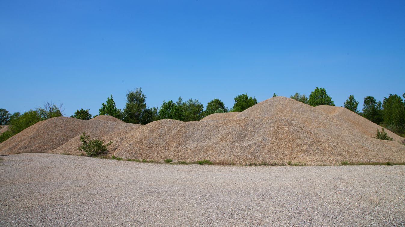 Parti fecske és gyurgyalag, azaz védett madarak fészkelnek egy ...