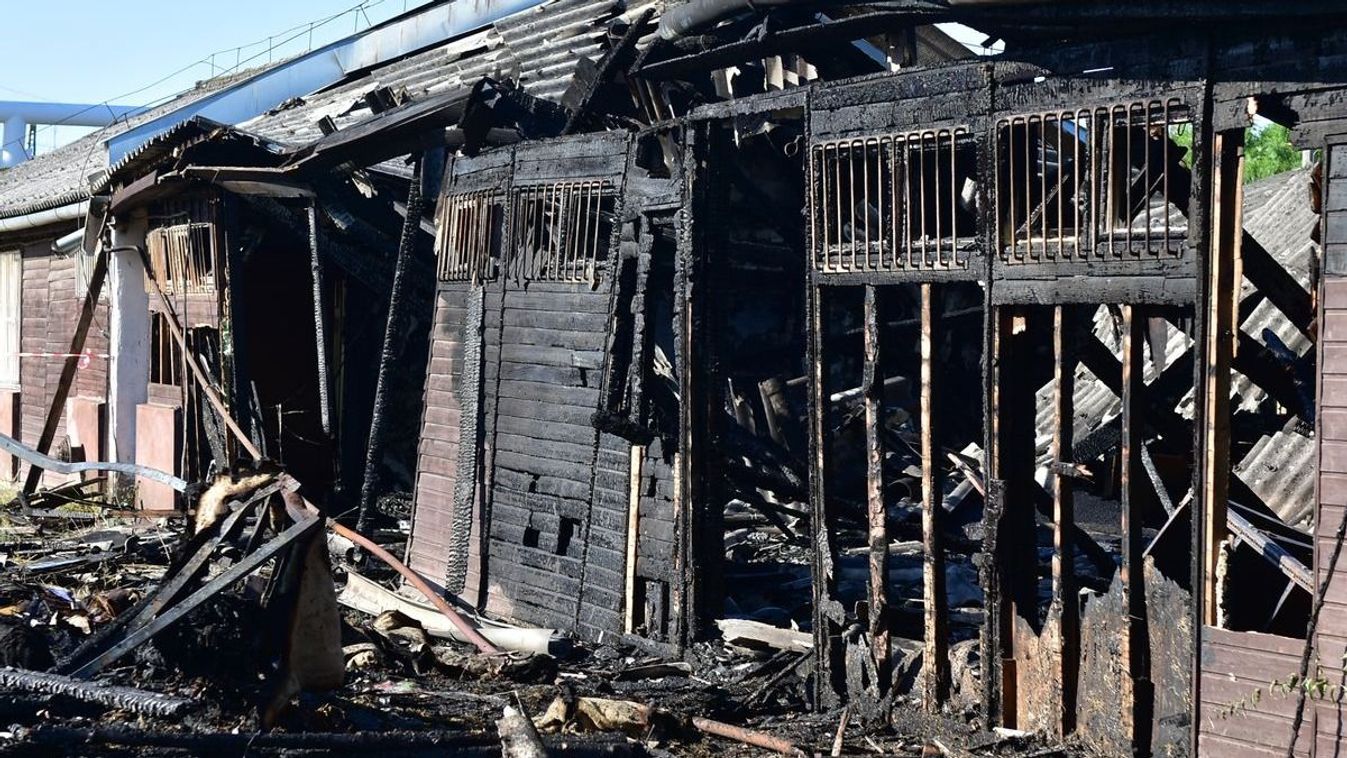 Furkó Kálmán leégett edzőterme helyett épülhet modern sportközpont ...