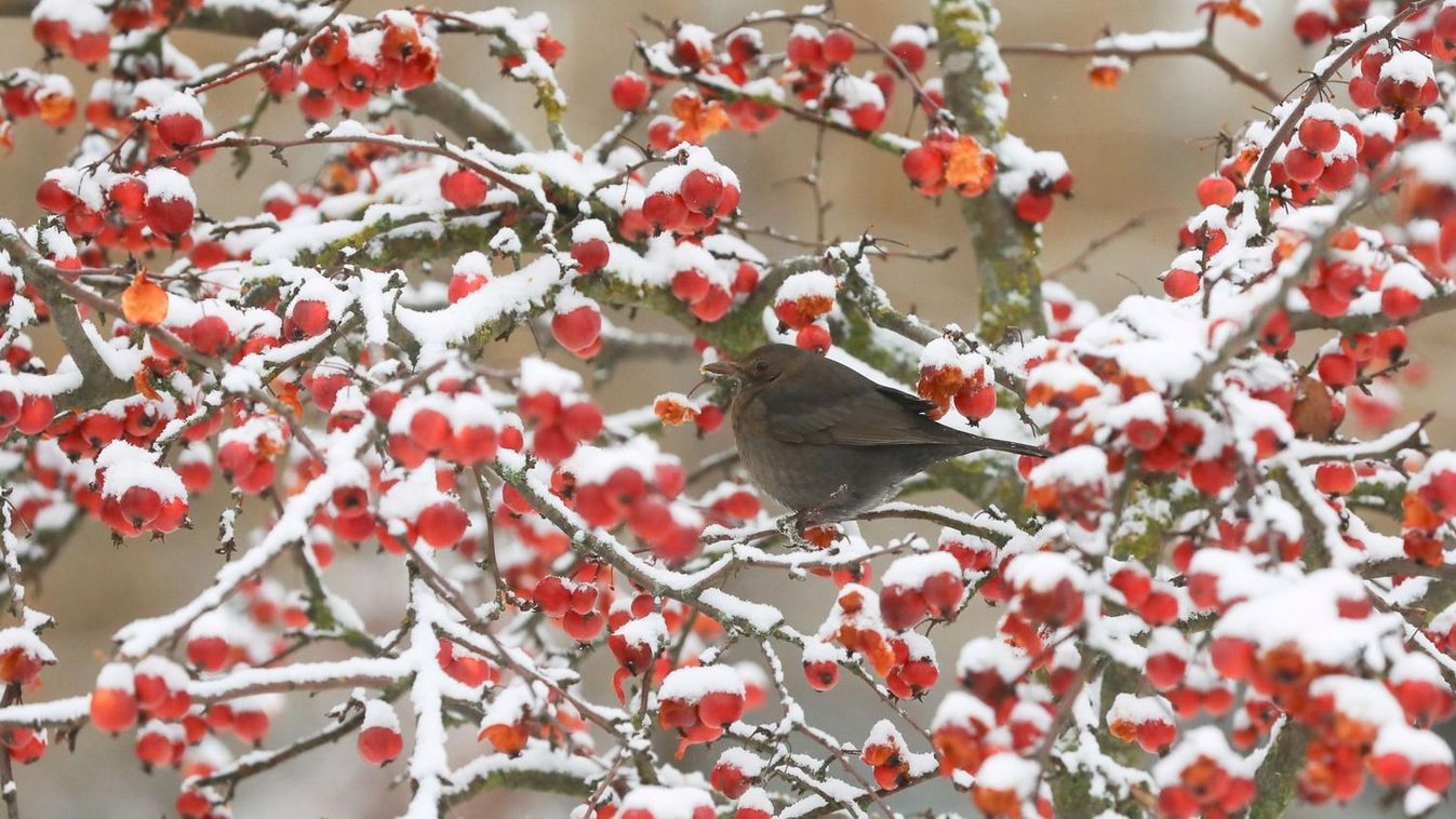 Így alakul a keddi időjárás, egy hidegfront hozhat jelentős változást